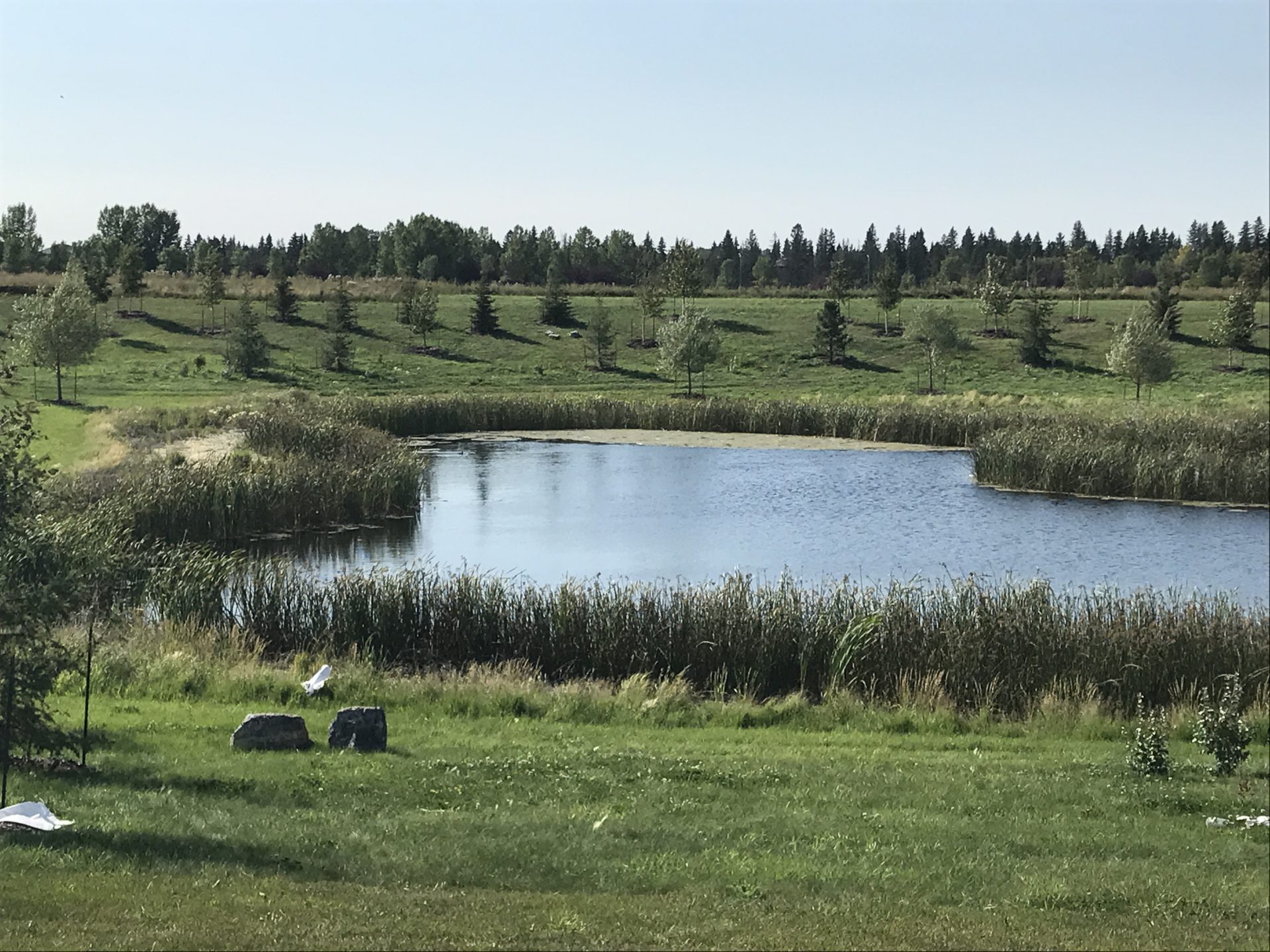 Graydon Hill Stormwater Management Facility (SWMF) - Delta Valley ...